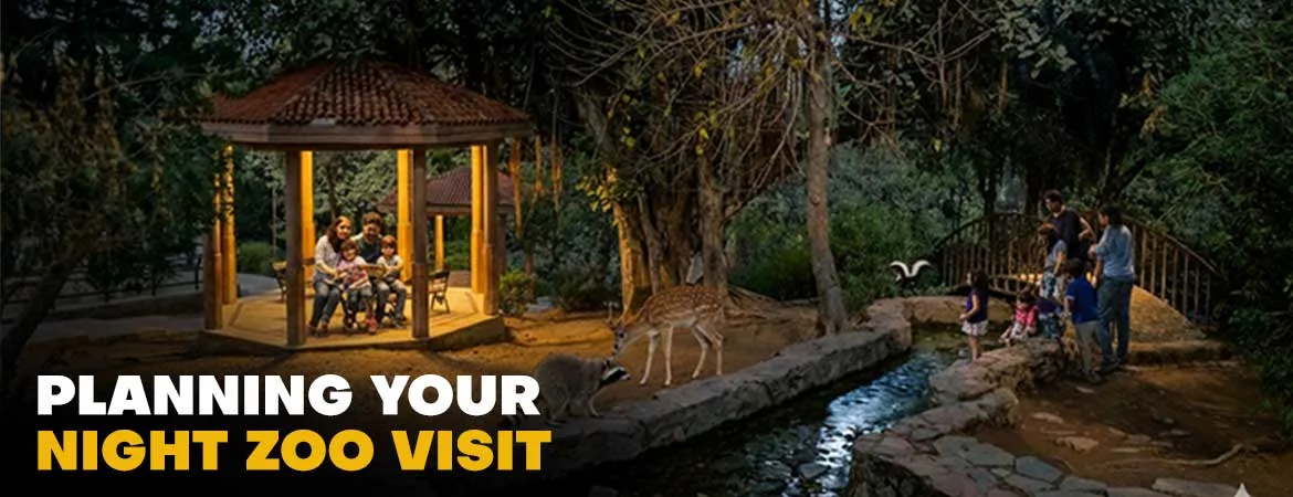 Lahore Zoo to Open for Night Visits from February 2026 - Eastern Housing